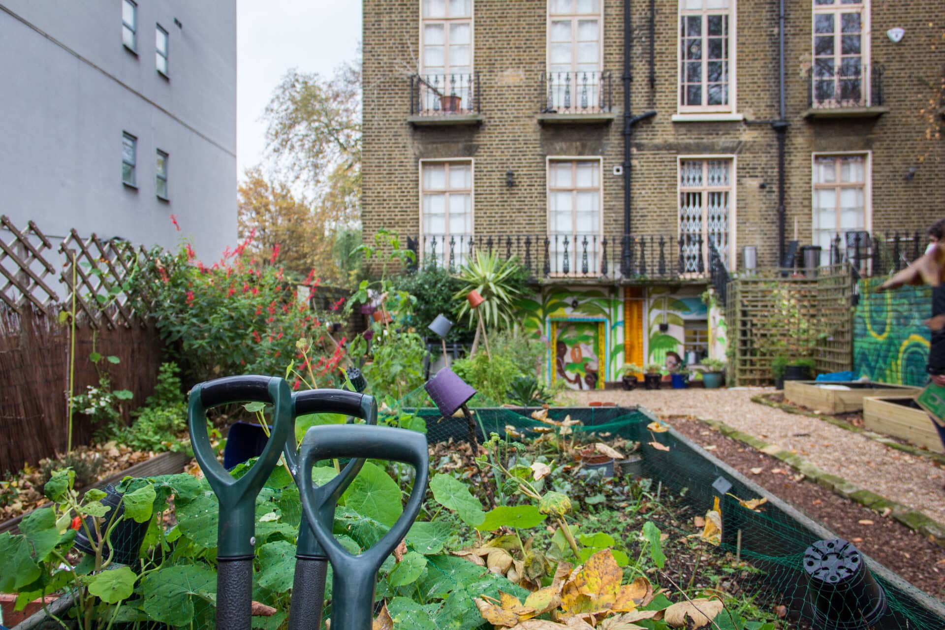 Interview: Tom, volunteer with Lambeth GP Food Co-op - NHS Forest