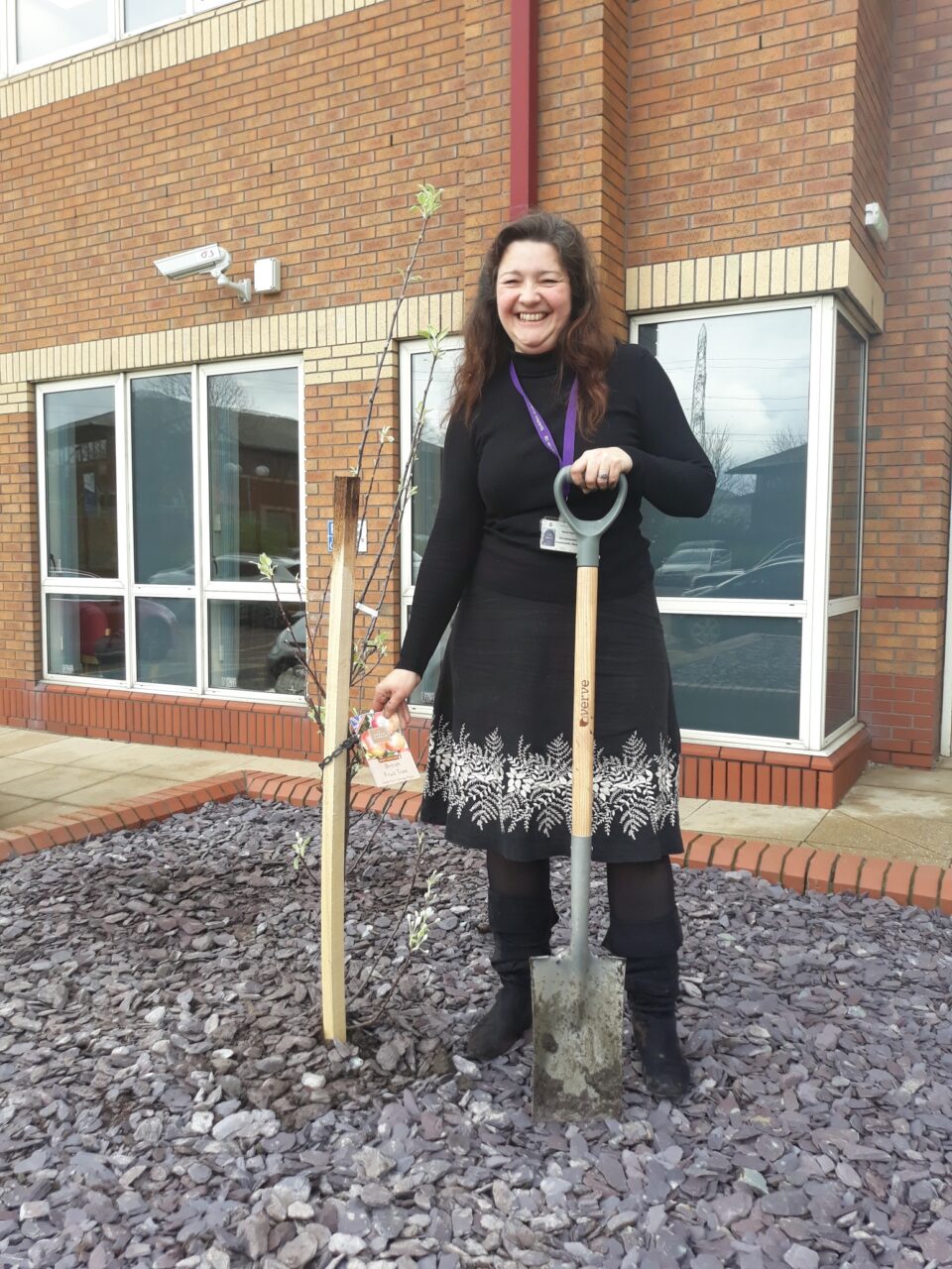 Digital tree pack - NHS Forest