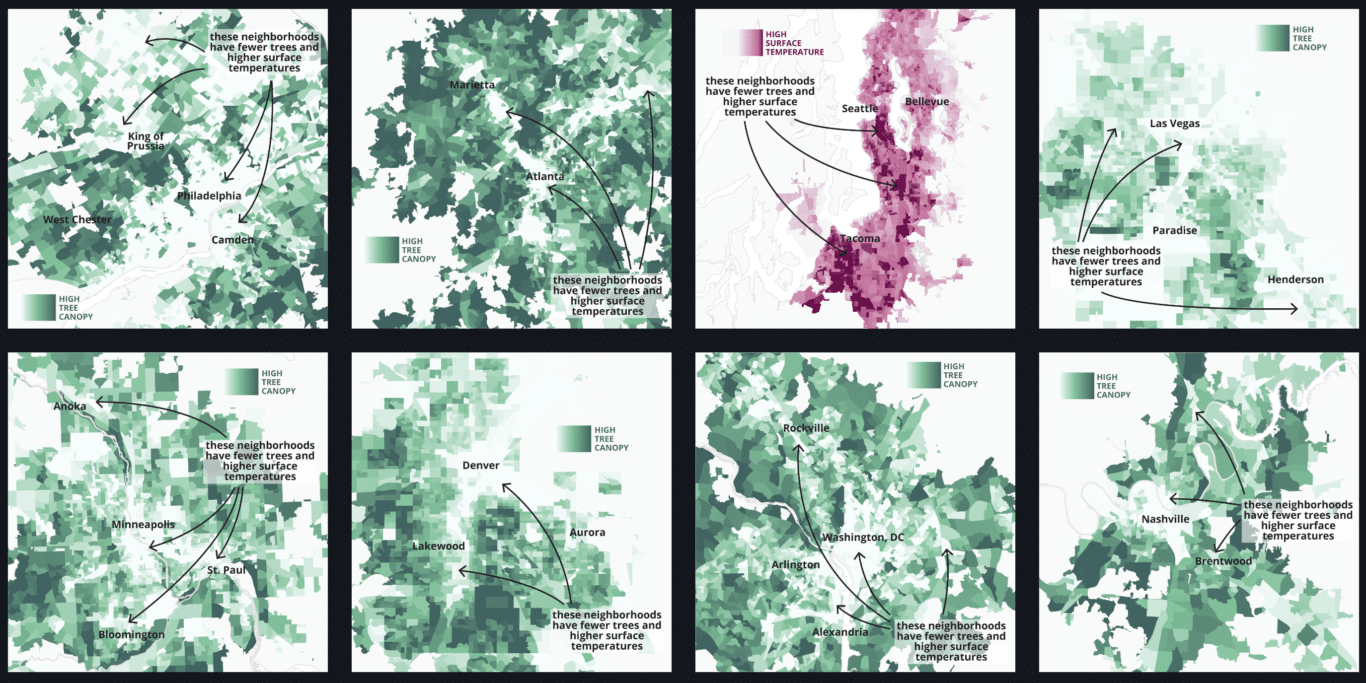 NHS Forest in partnership to bring new tree equity tool to UK