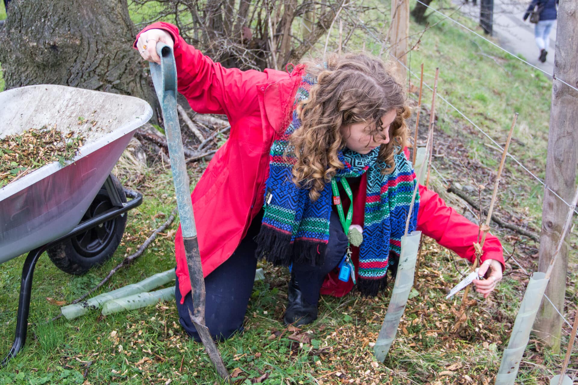 Tree maintenance - a quick guide to looking after your trees - NHS Forest