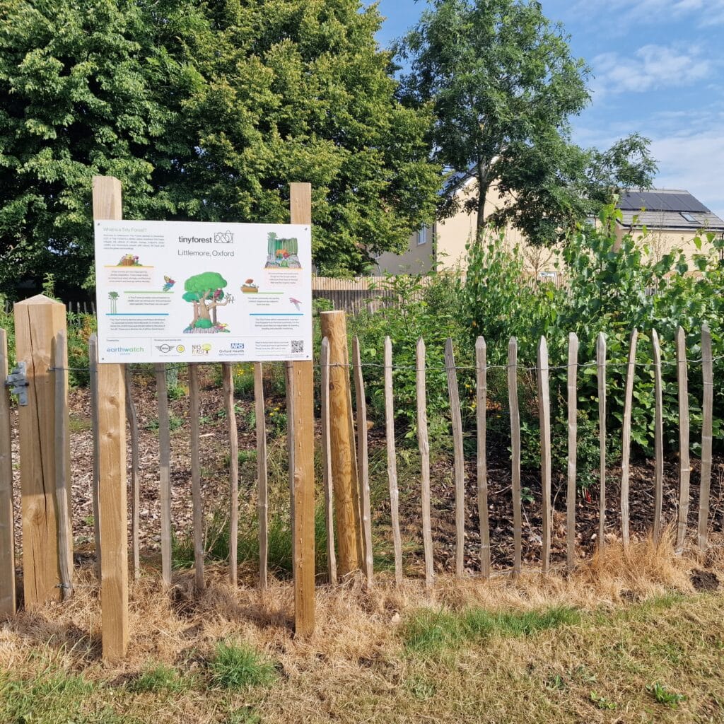 Walking in Tiny Forests - NHS Forest